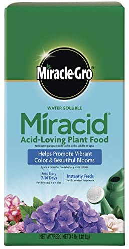 4 Best Fertilizer For Hydrangeas - Complete Guide & More