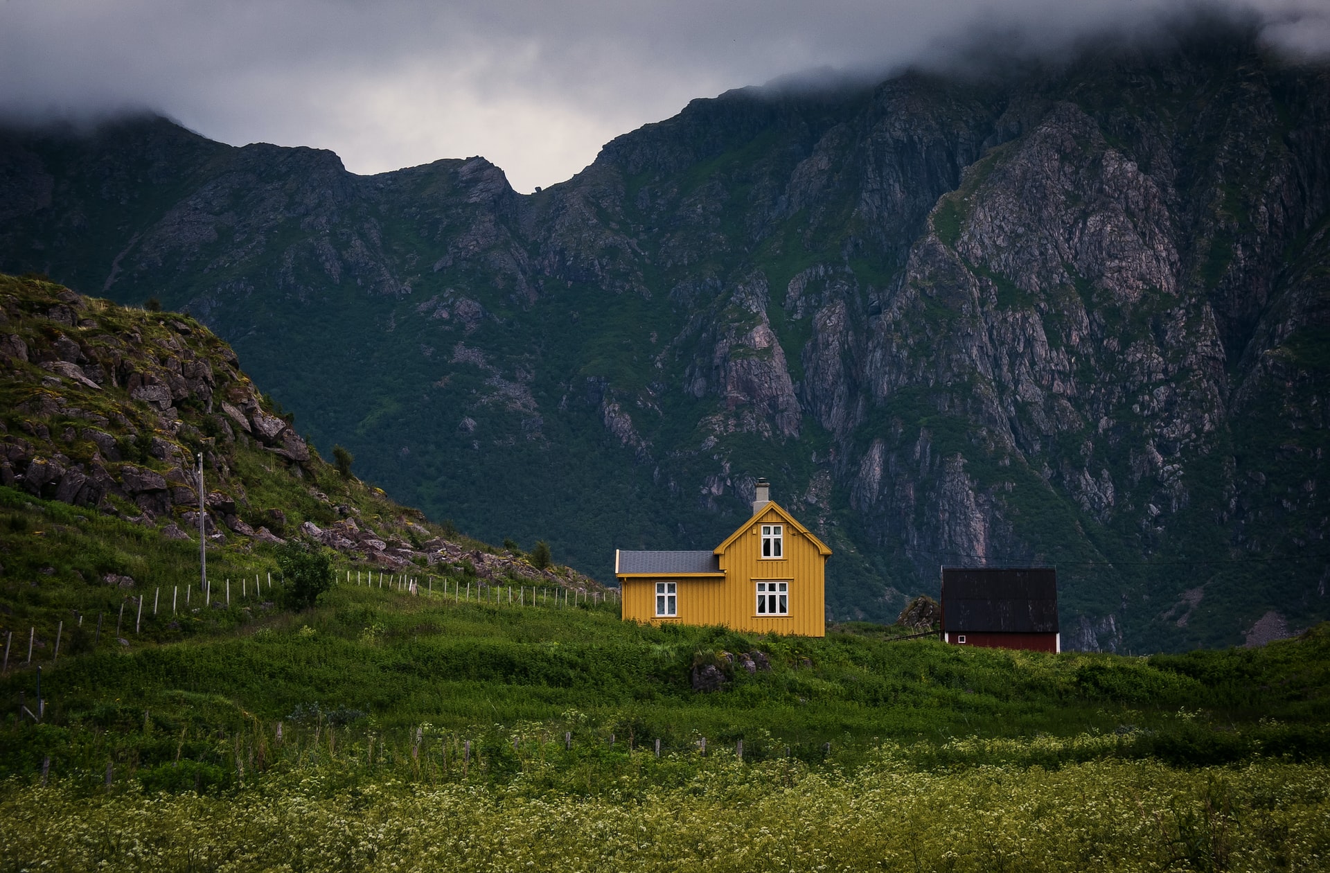 Landscape Advice - Full guide, FAQs, Buyer's Guides & More